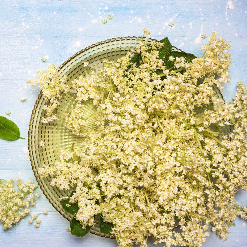 Olive Lucy – Gourmet Olive Oils and Balsamic Vinegars