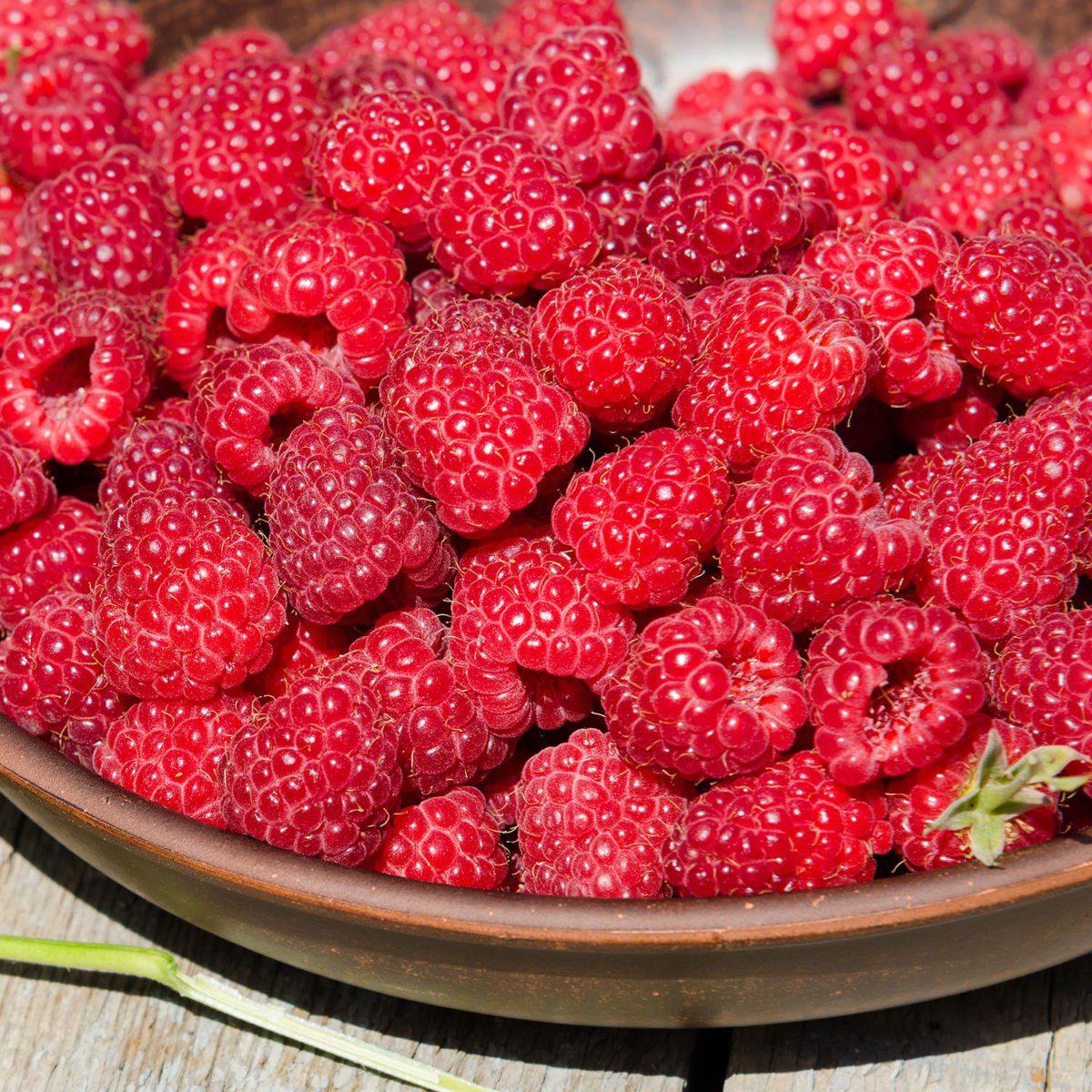 Persian Lime Olive Oil – Olive Lucy