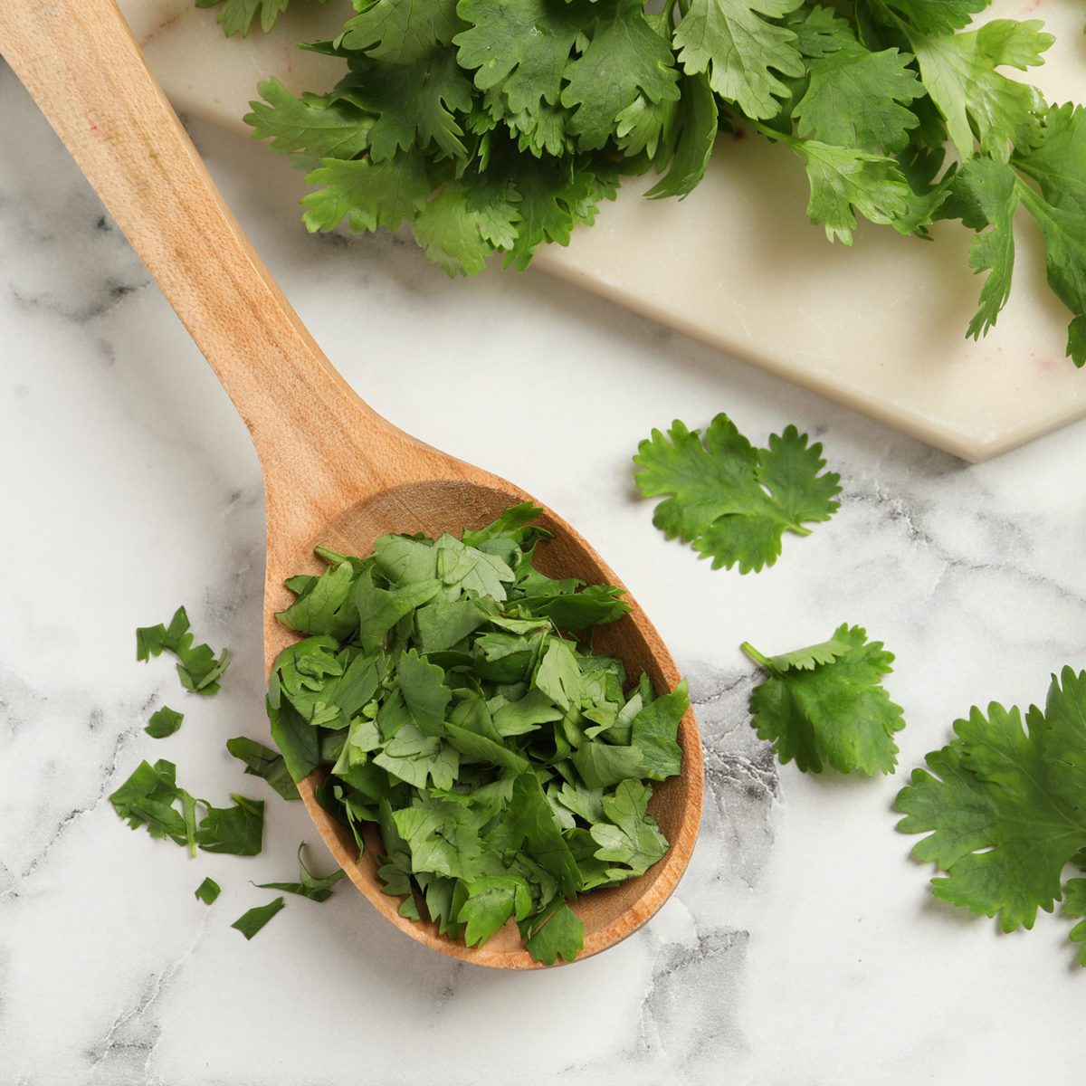 Cilantro And Roasted Onion Olive Oil – Olive Lucy